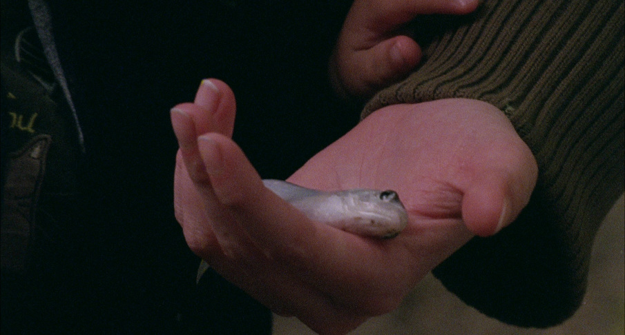 Aurélien Vernhes-Lermusiaux