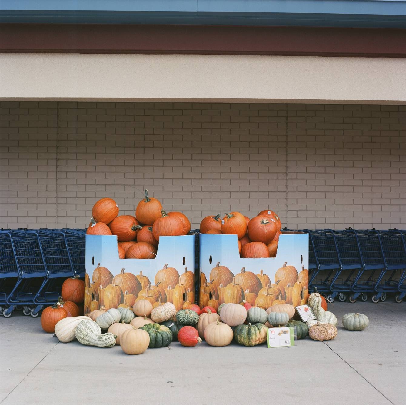 - Photography - Marcus Foster