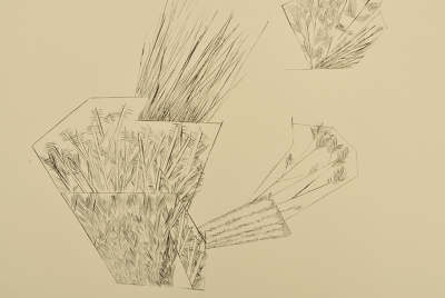 Fynbosboek (2015) - Jonah Sack – Work