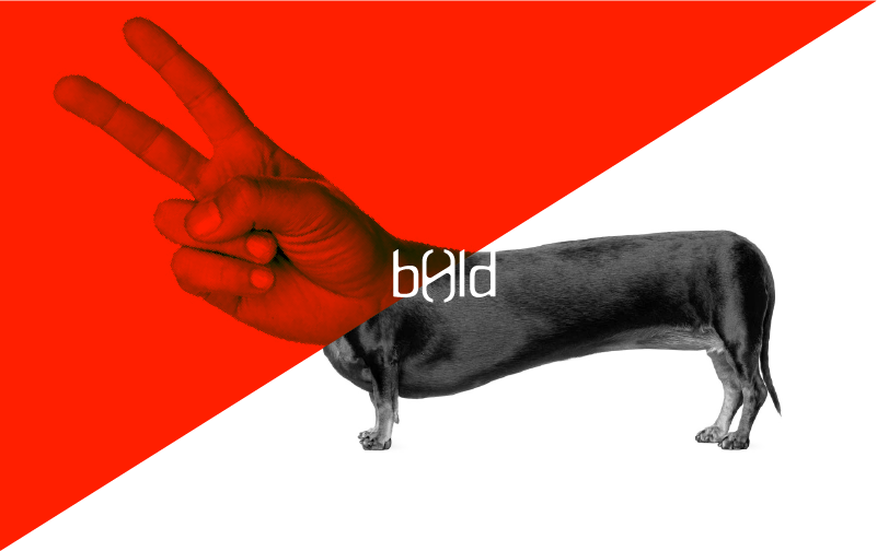 BOLD - Dermot Collins