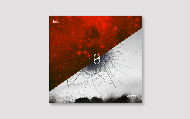 BOLD - Dermot Collins