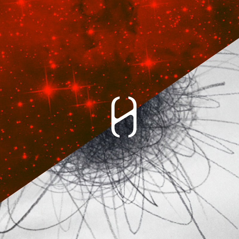 BOLD - Dermot Collins