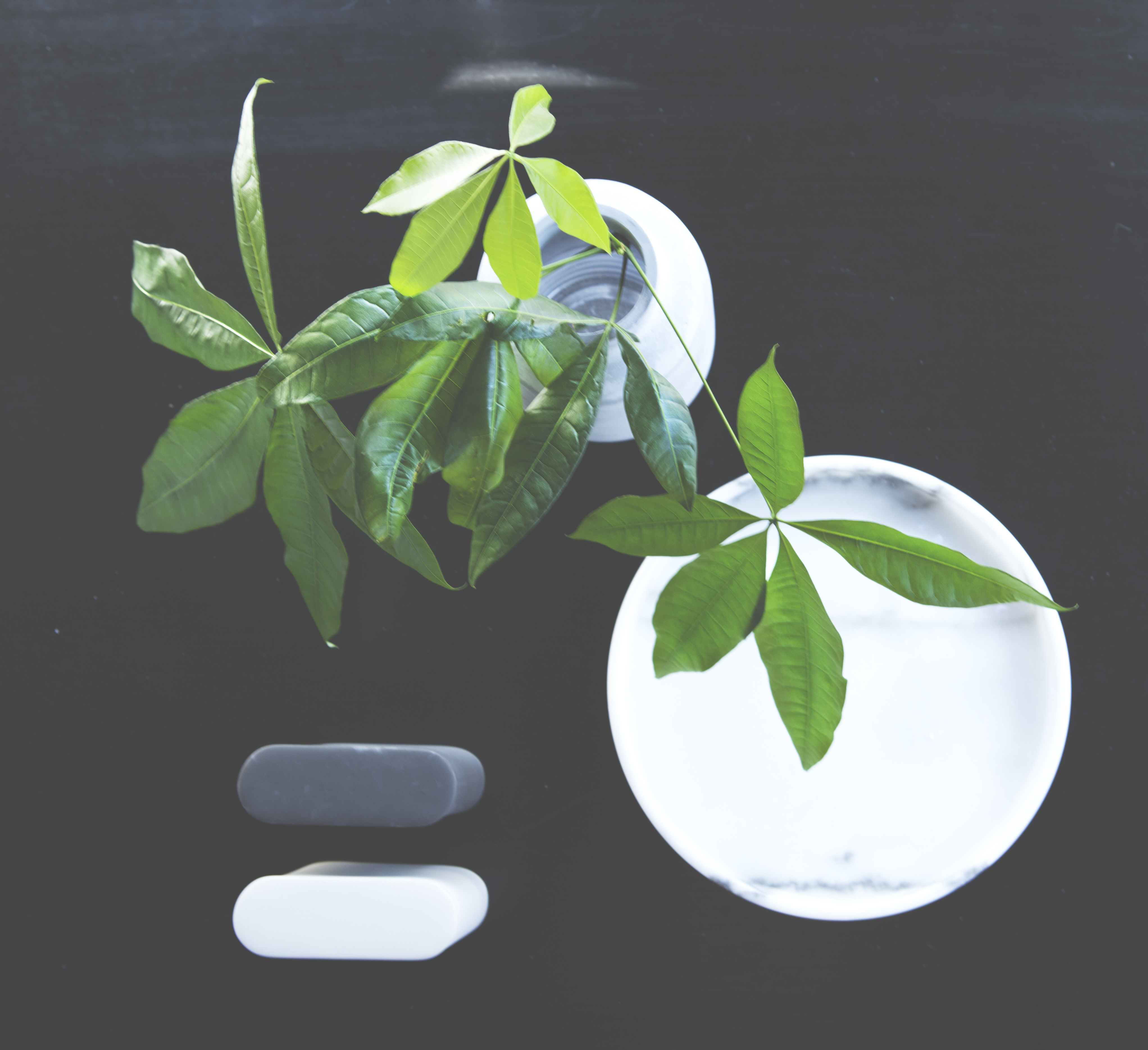 Rooftop - Richard Ribe