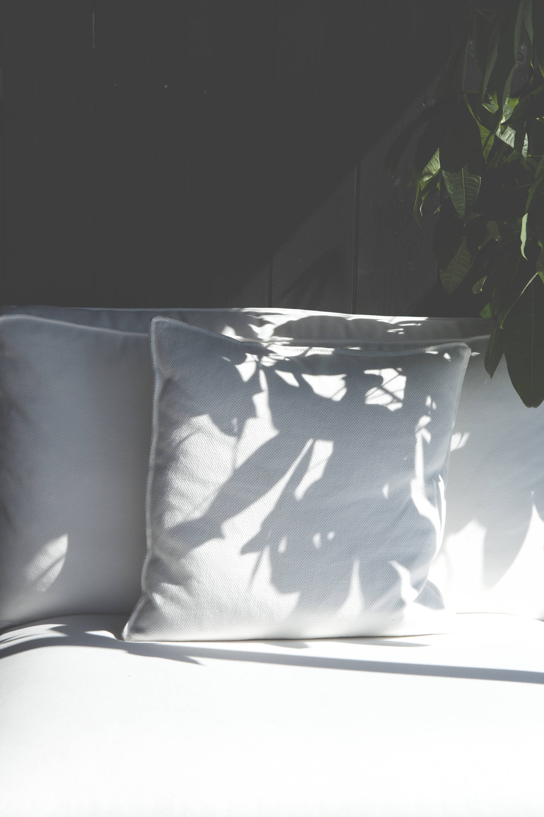 Rooftop - Richard Ribe