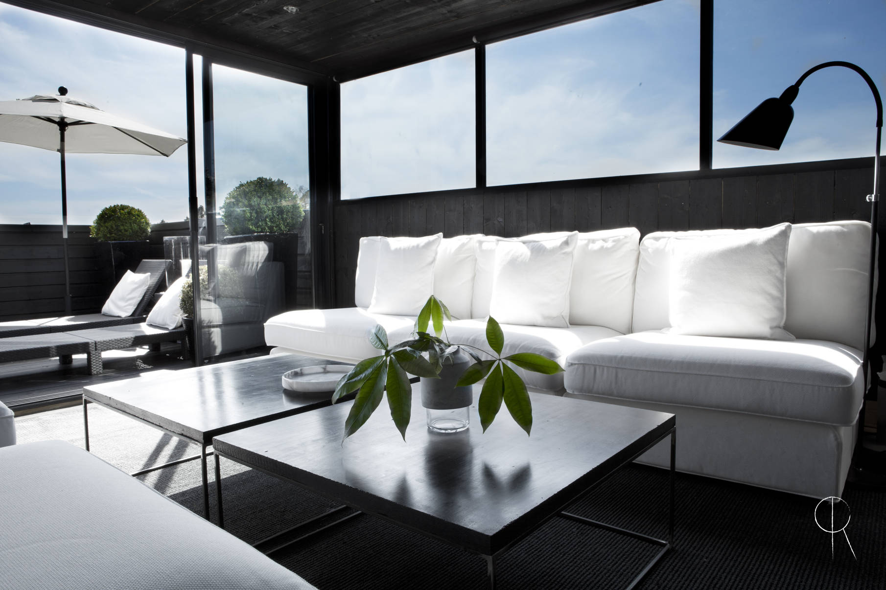 Rooftop - Richard Ribe