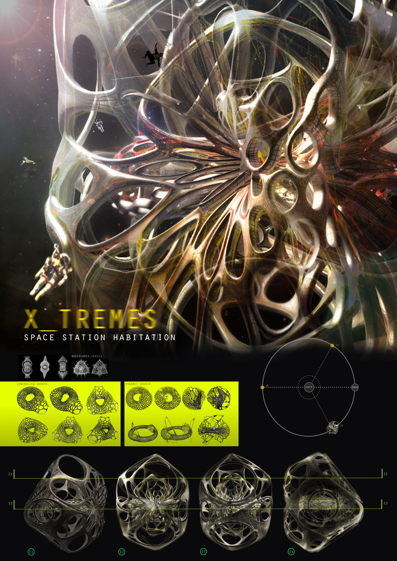 L5 Colony - isiswandi