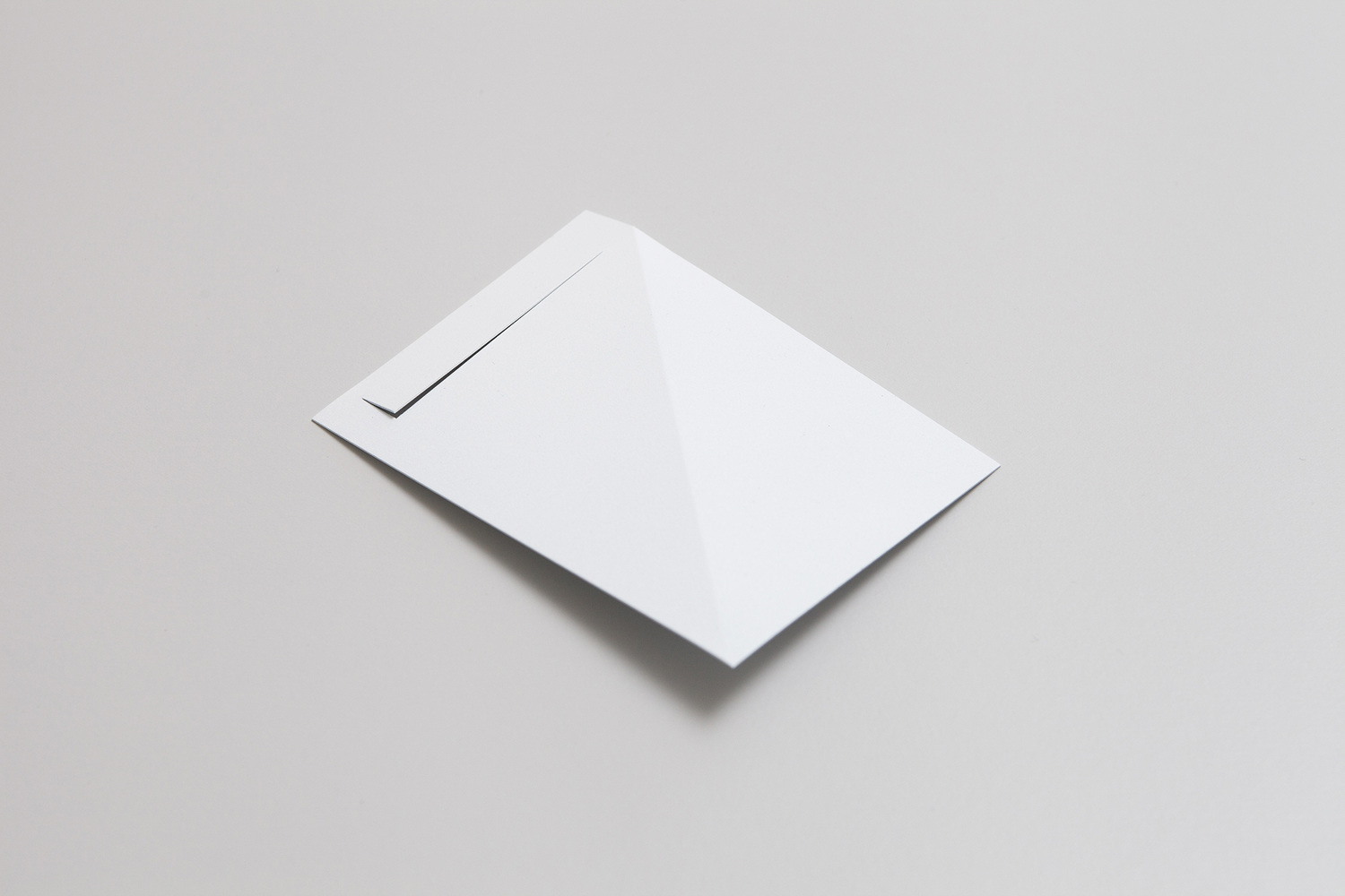 Fold in, fold out and a cut - rony schneider