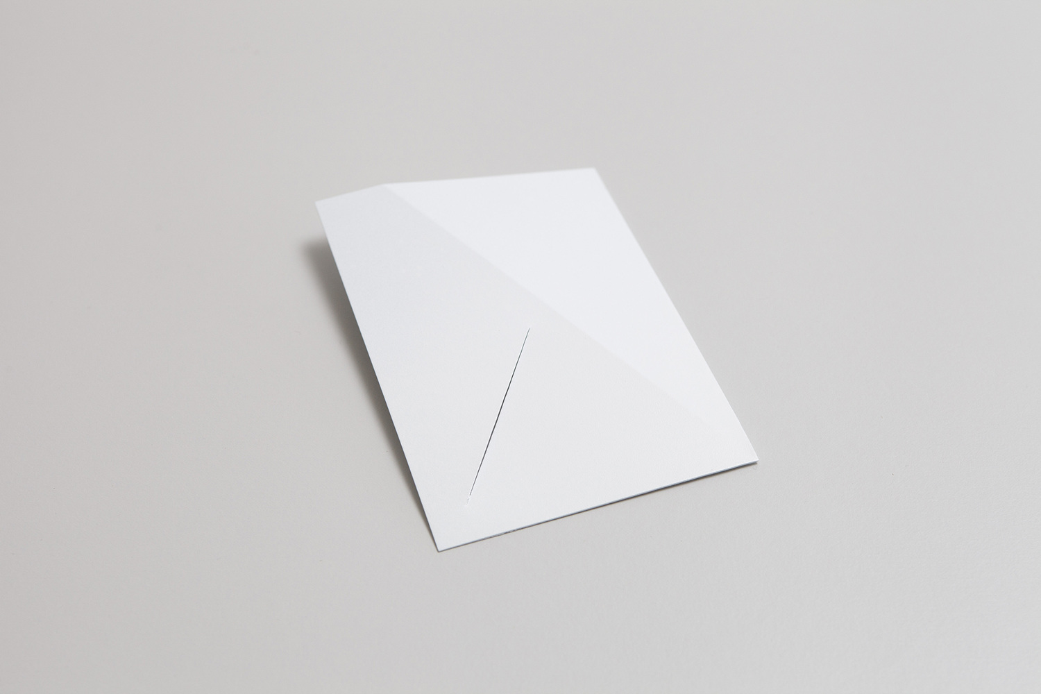 Fold in, fold out and a cut - rony schneider