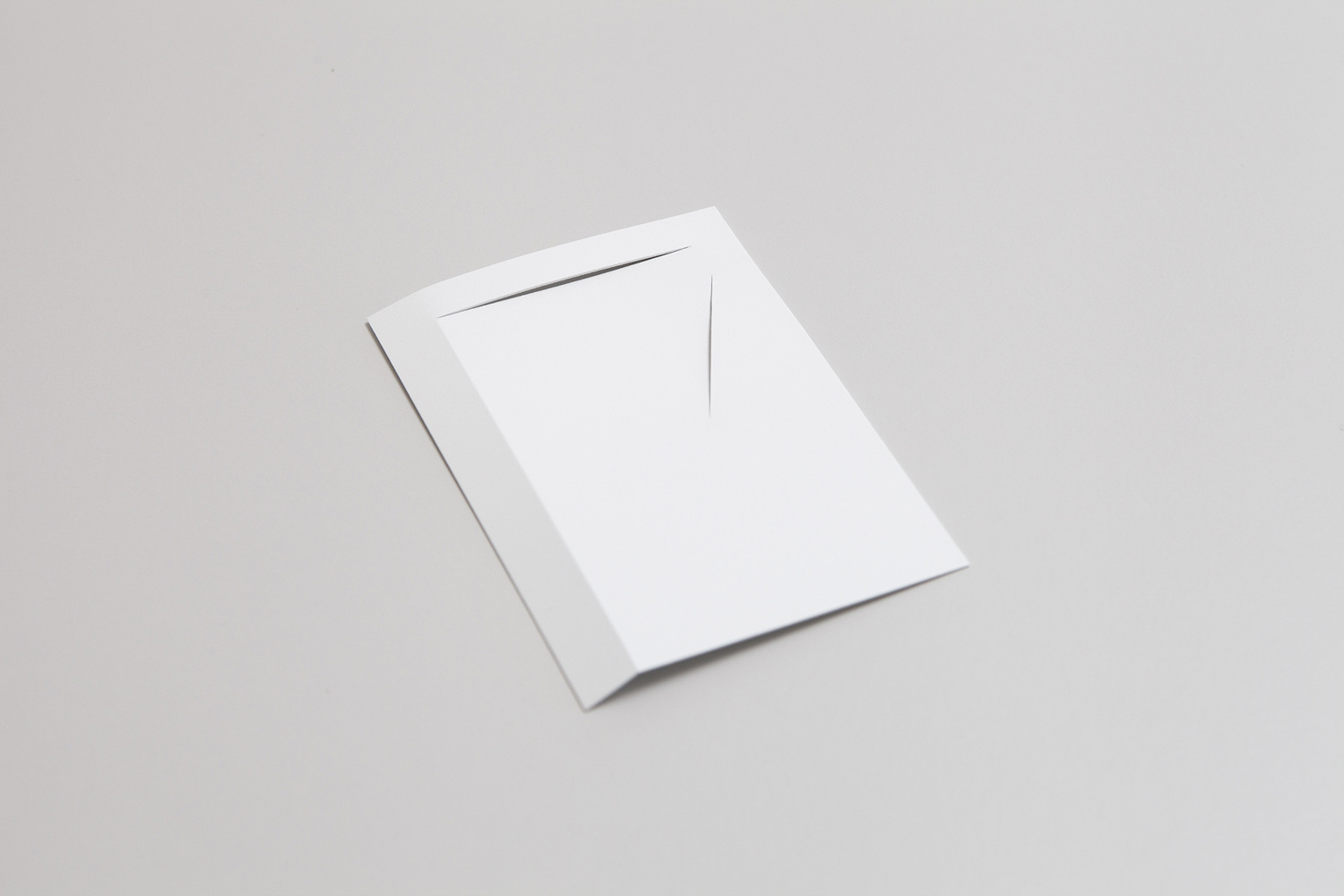 Fold in, fold out and a cut - rony schneider