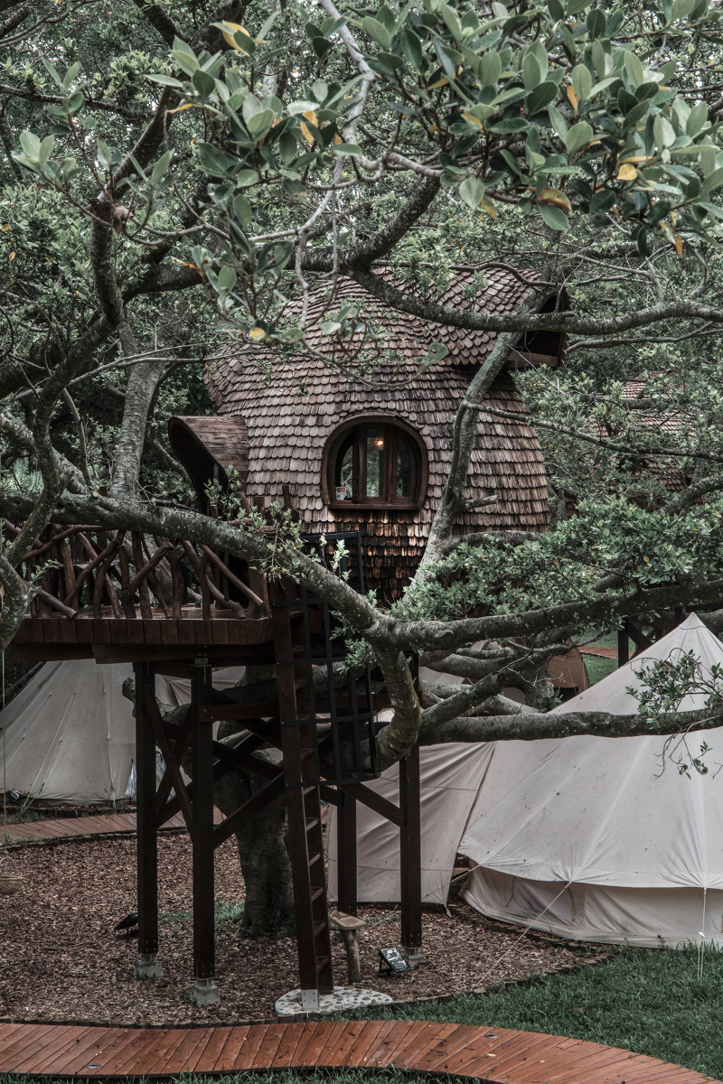 Tree Houses in the Dreamy Forest - Yu Chih Hsiao