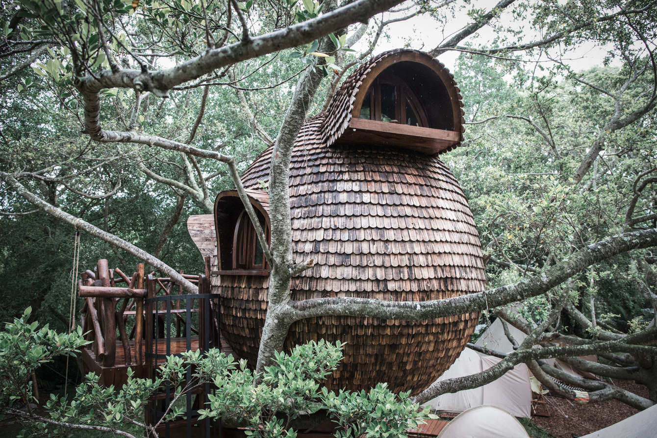 Tree Houses in the Dreamy Forest - Yu Chih Hsiao