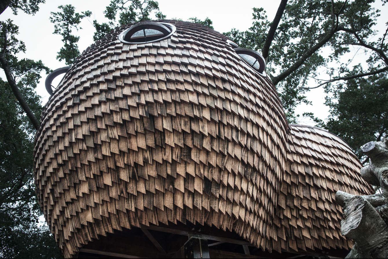 Tree Houses in the Dreamy Forest - Yu Chih Hsiao