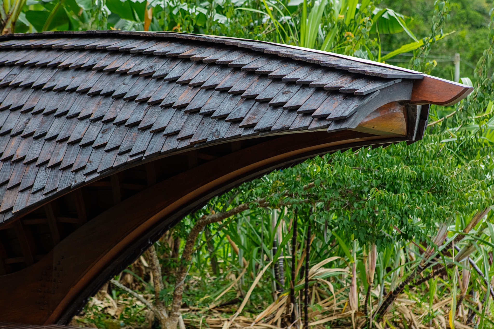 The Caridina Pavilion - Yu Chih Hsiao