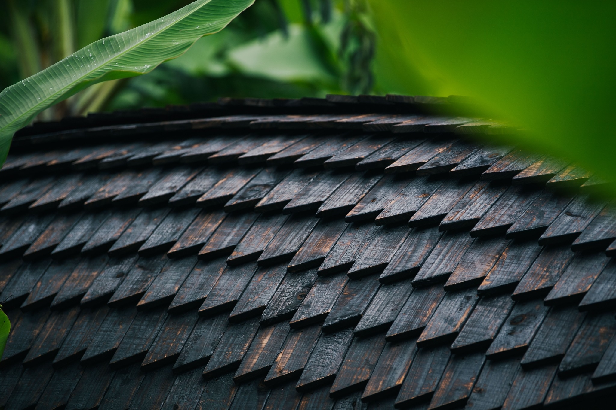 The Caridina Pavilion - Yu Chih Hsiao