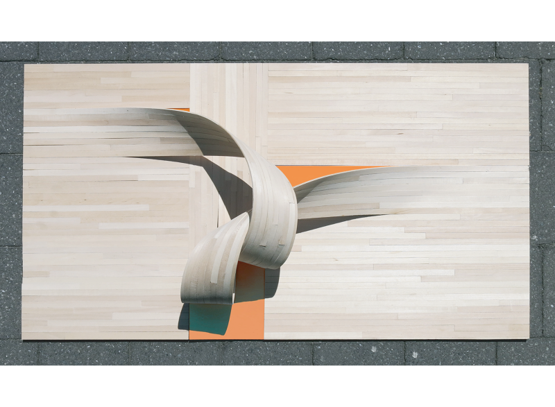 Plasticity - Cameron Wu