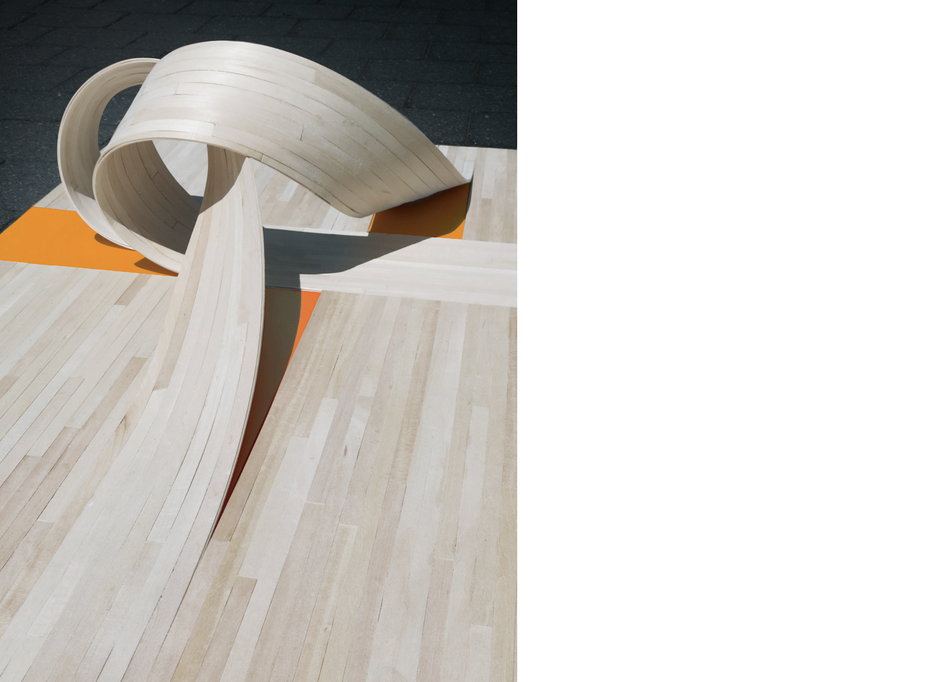 Plasticity - Cameron Wu