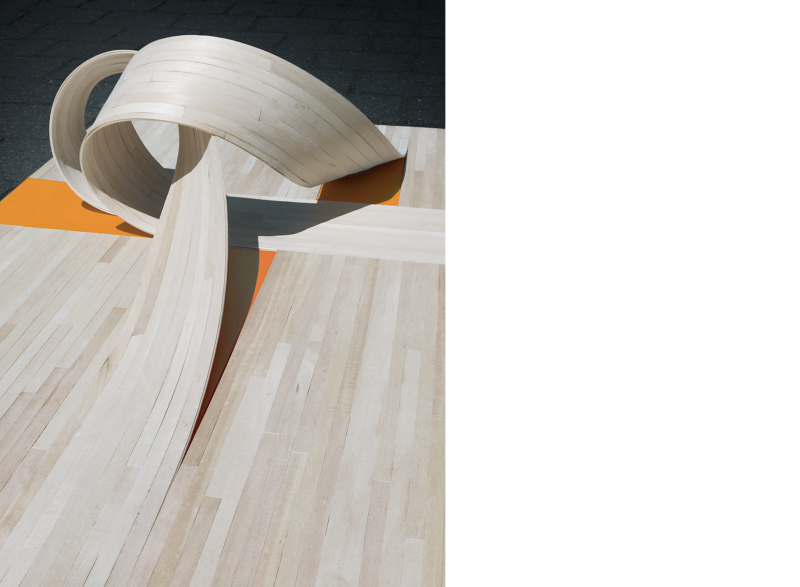 Plasticity - Cameron Wu