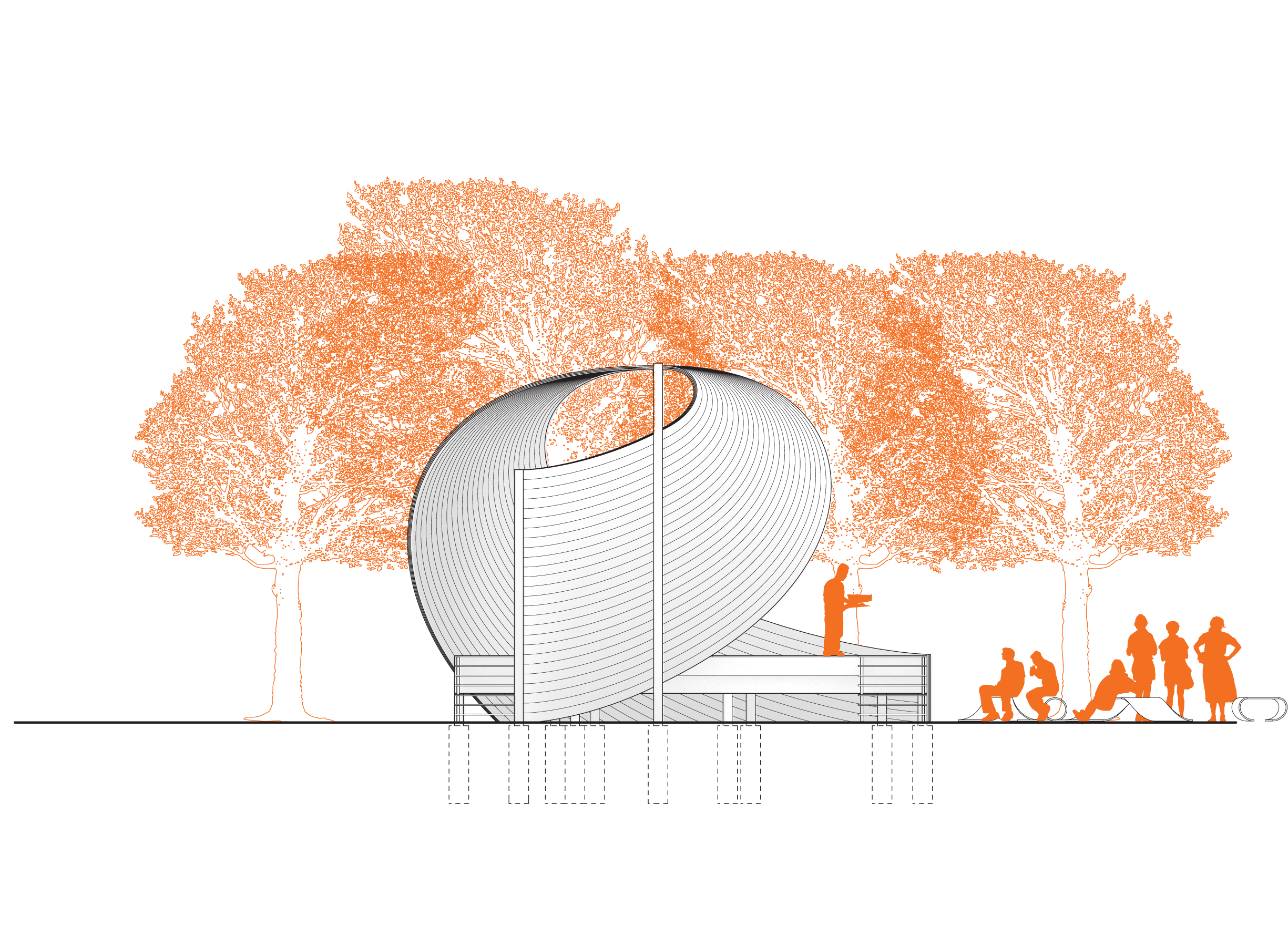 Chrysalis - Cameron Wu