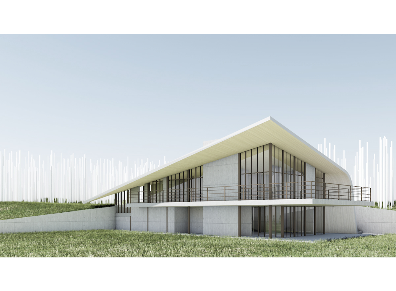 Doubly Ruled House - Cameron Wu