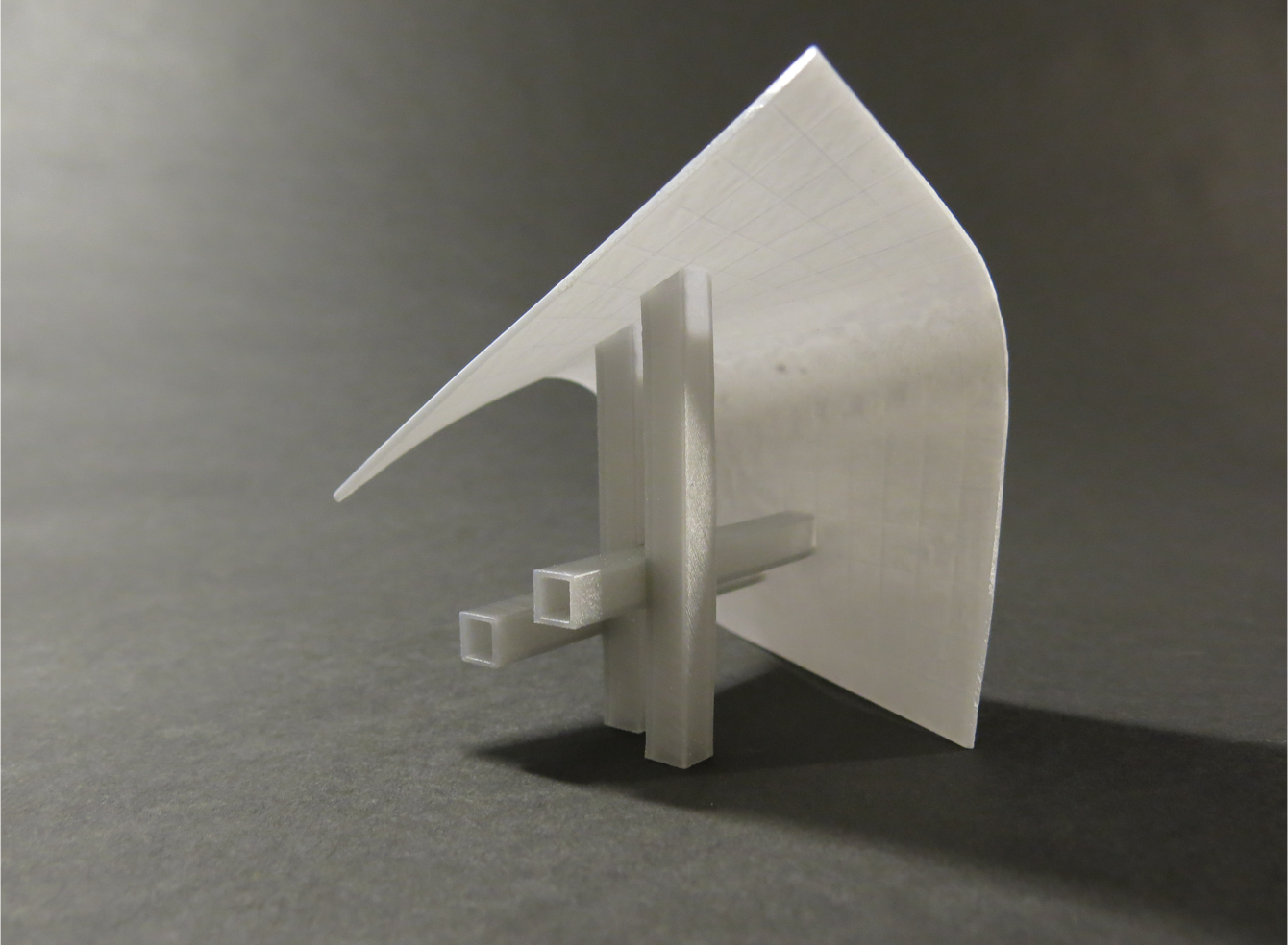 Doubly Ruled House - Cameron Wu