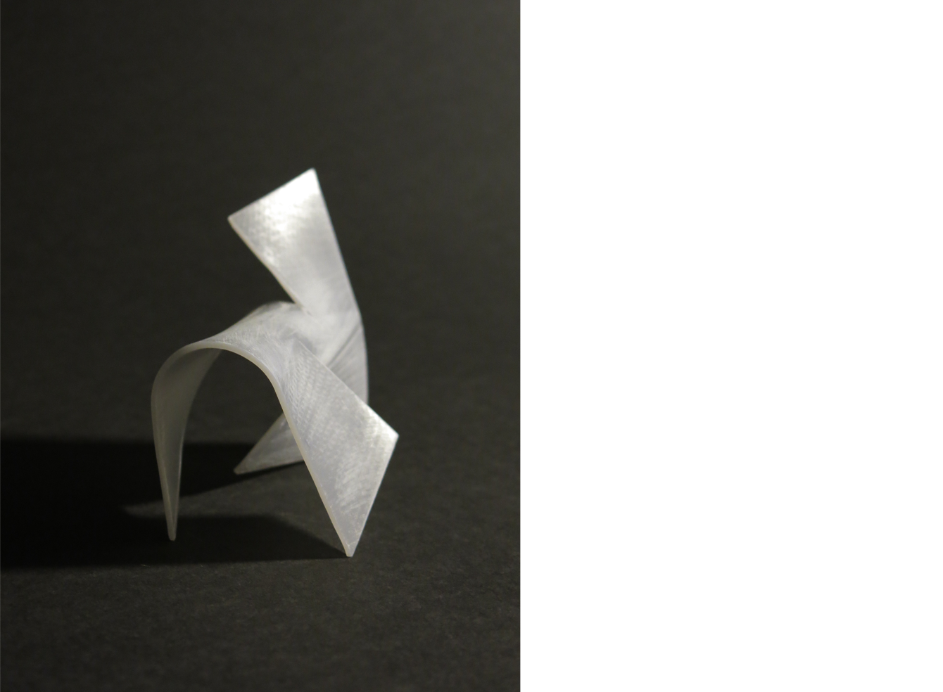 Doubly Ruled House - Cameron Wu