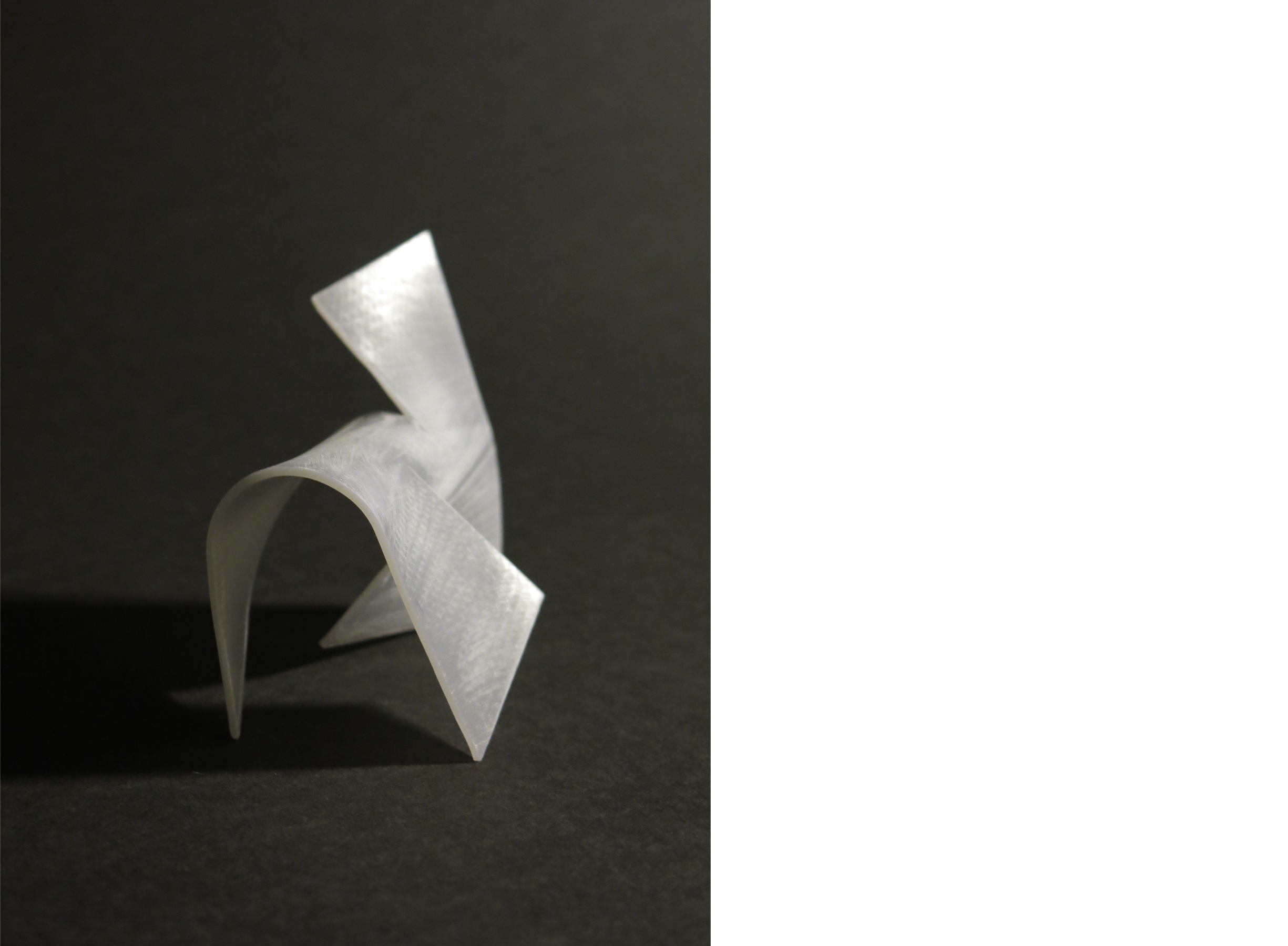 Doubly Ruled House - Cameron Wu