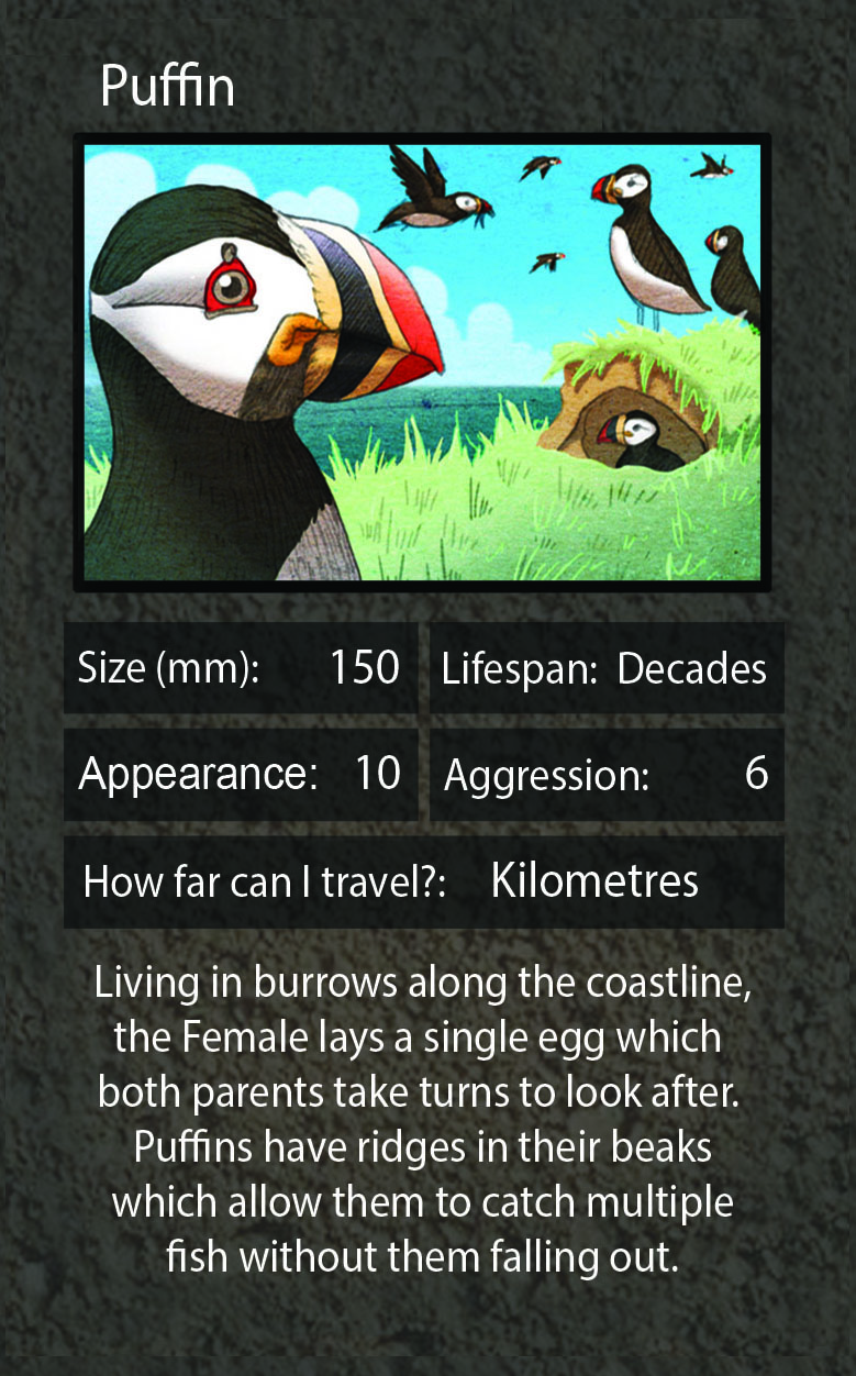 Soil Biodiversity card game - JamesGiffordIllustration