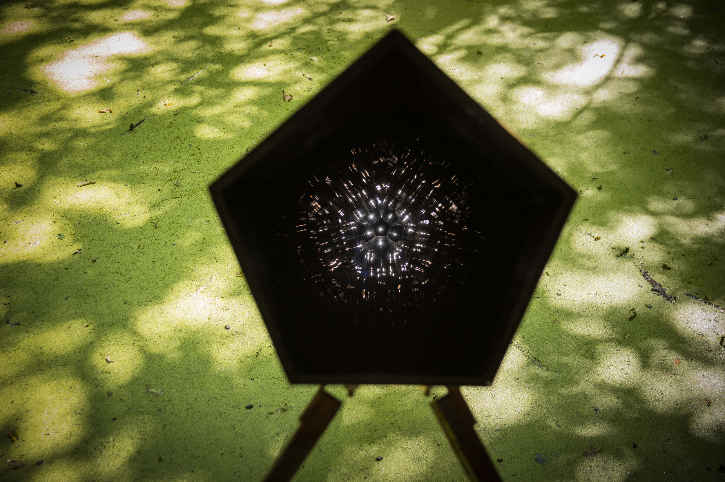 Mud Well - Teresa van Dongen