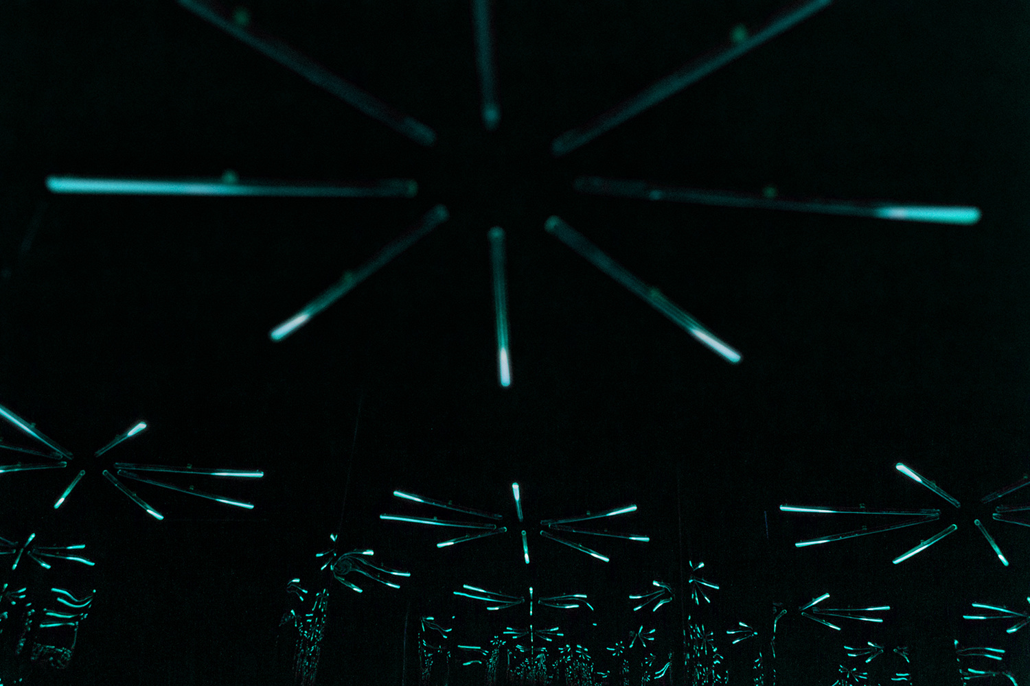 One Luminous Dot - Teresa van Dongen