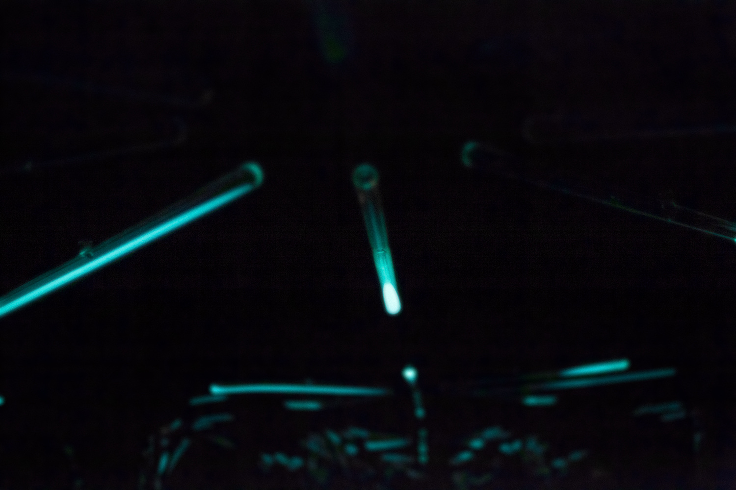 One Luminous Dot - Teresa van Dongen