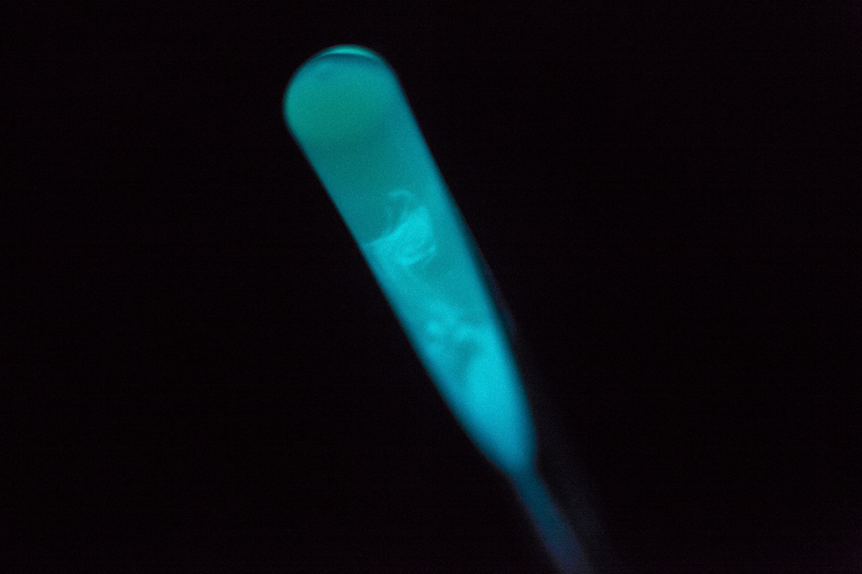 One Luminous Dot - Teresa van Dongen