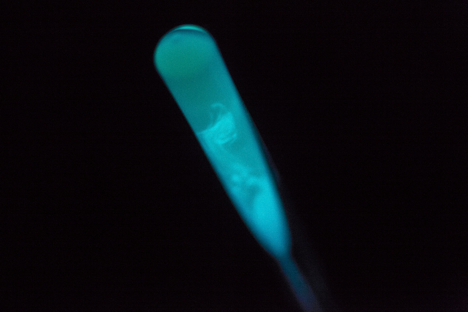 One Luminous Dot - Teresa van Dongen