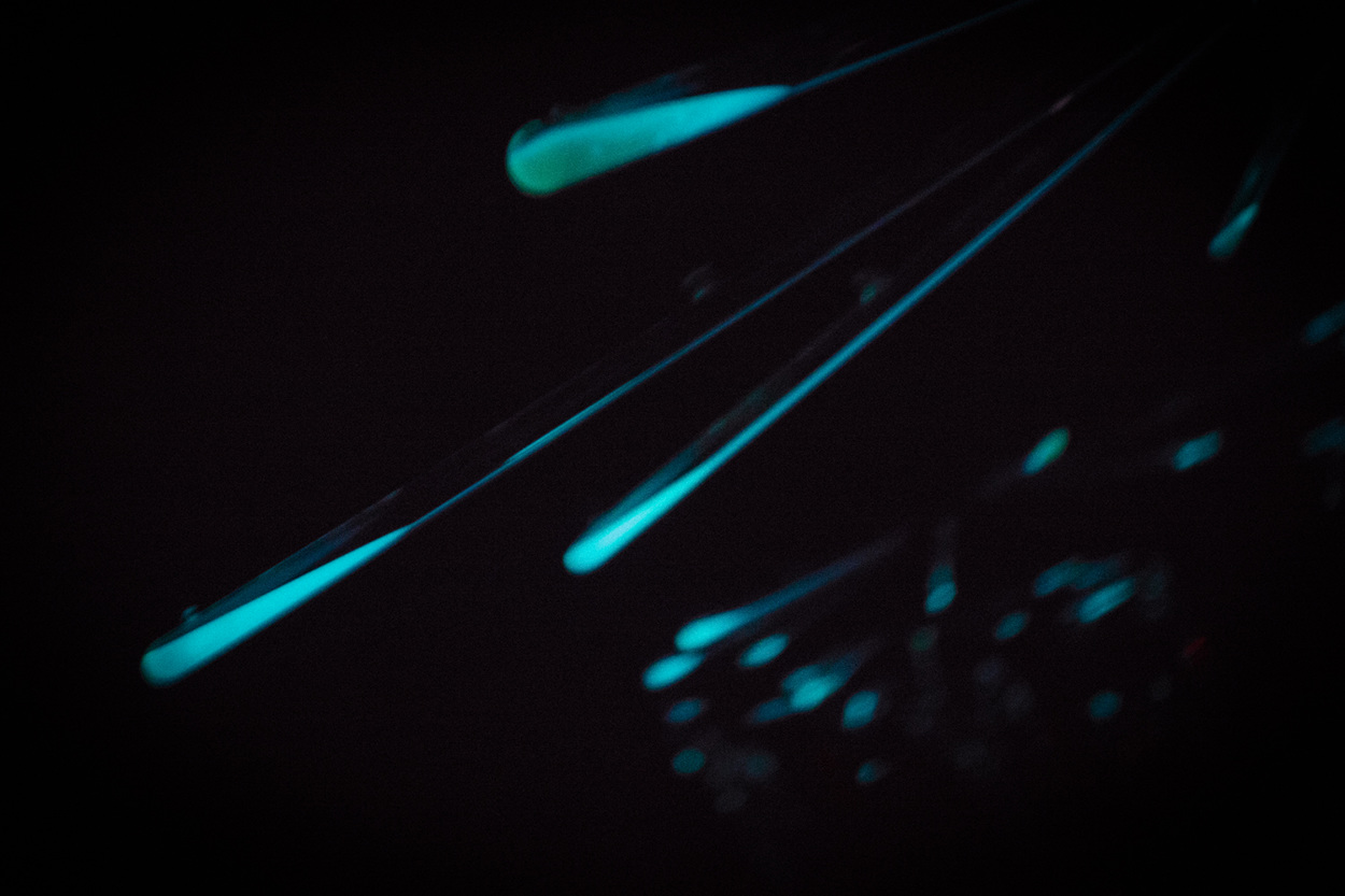 One Luminous Dot - Teresa van Dongen