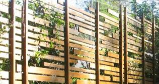 Fence - Felix Davis