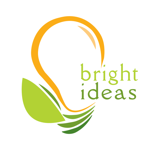 Bright Ideas Logo and Branding - Stephanie Browdy