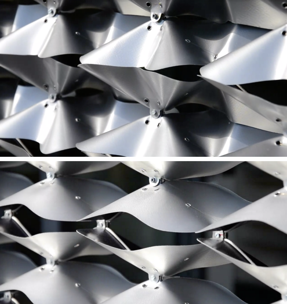 ADAPTEX - Maxie Schneider