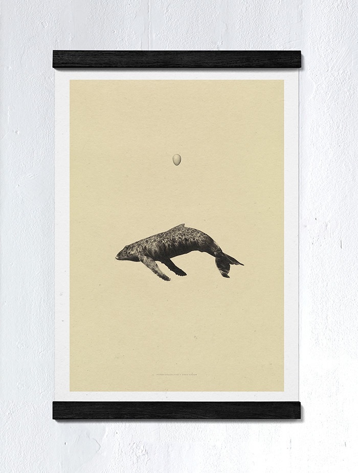 editions - Greg Eason