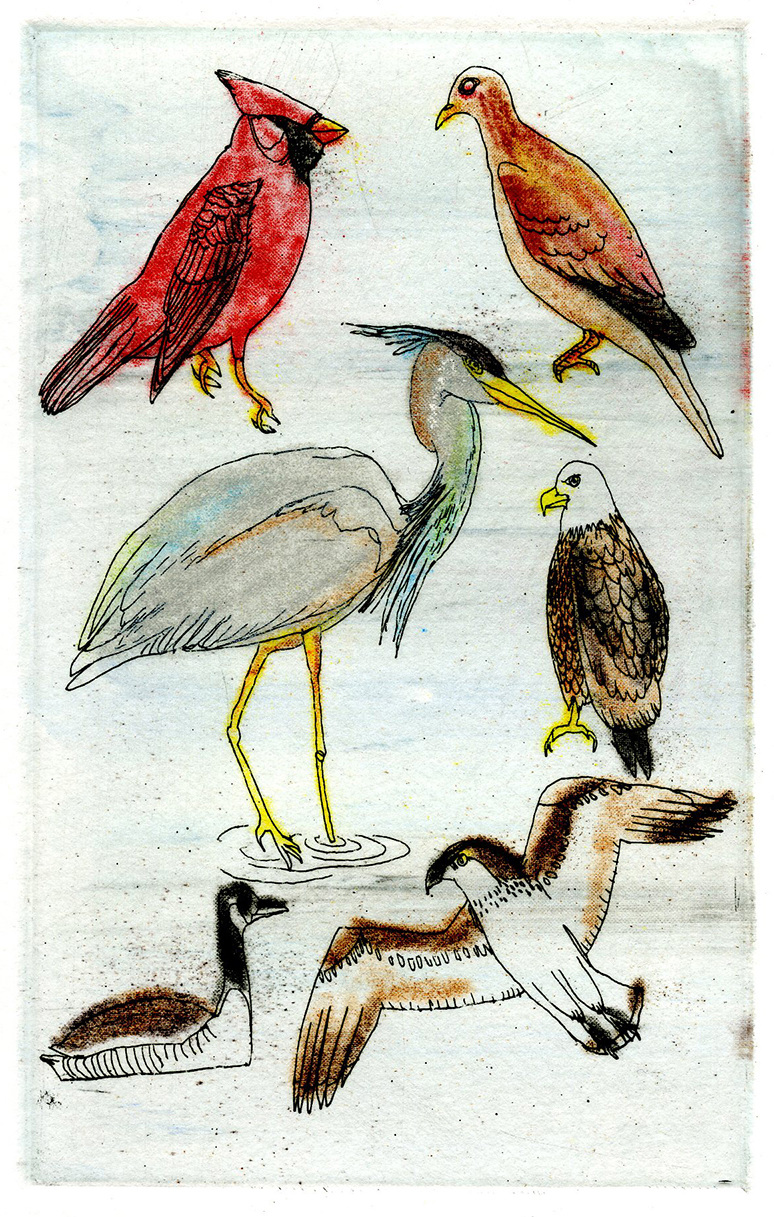 BIRDS - Brooke Ann Inman