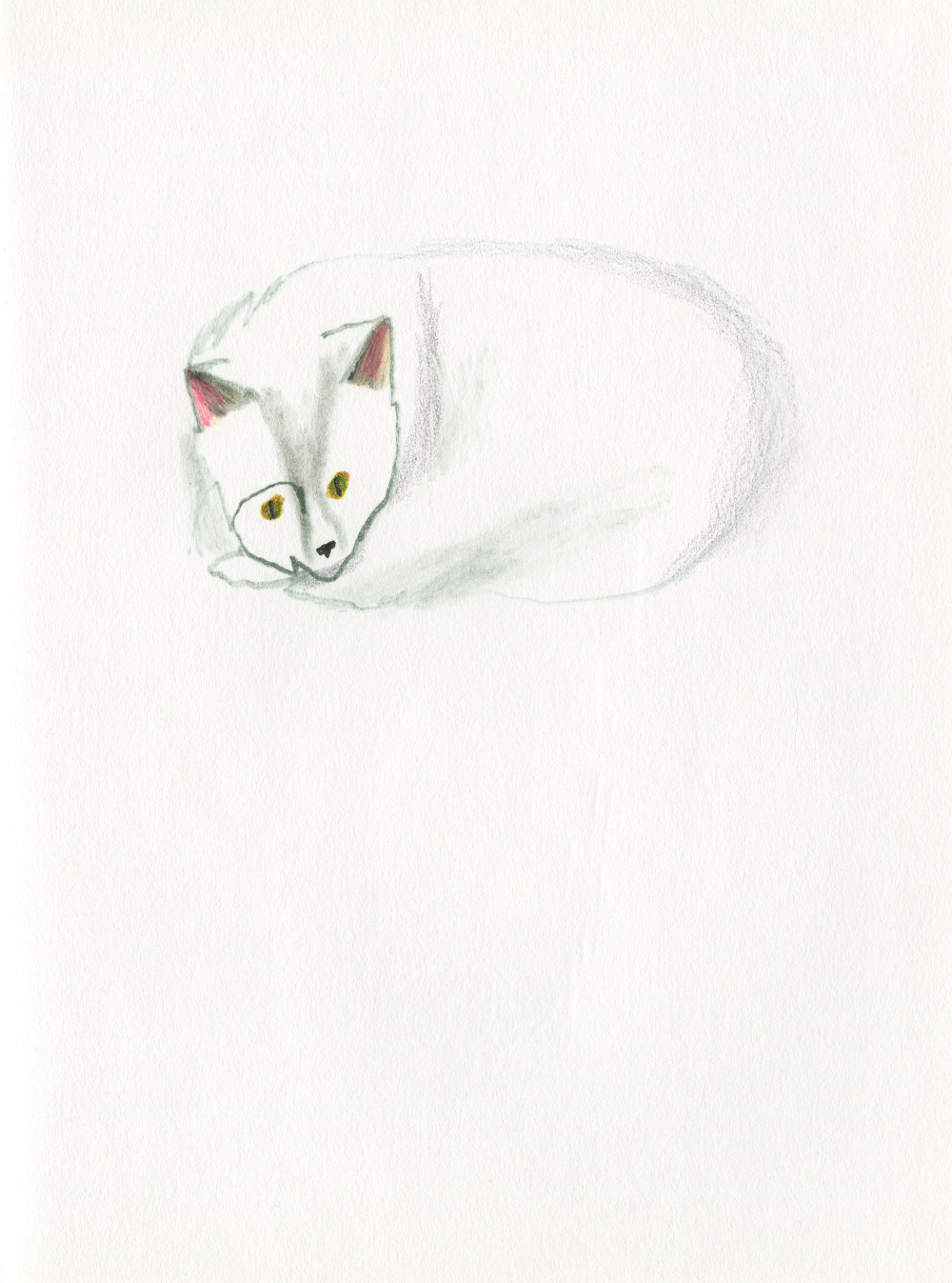 ELLIE CAT - Brooke Ann Inman