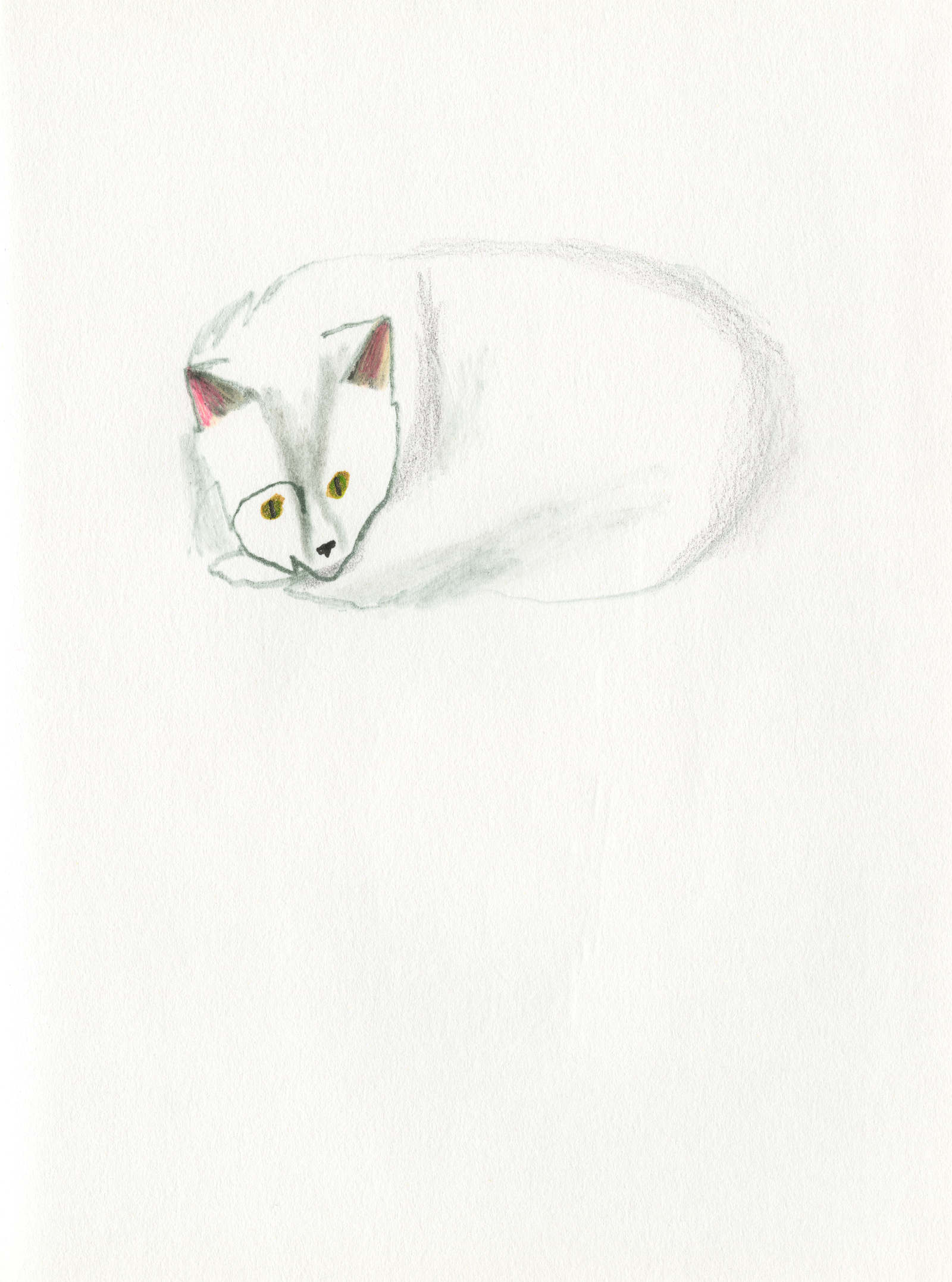 ELLIE CAT - Brooke Ann Inman