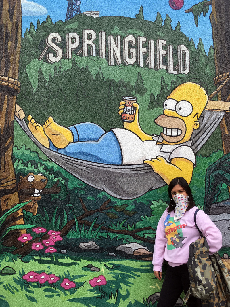 Simpsons Studies Initiative - marcelacuartas.com