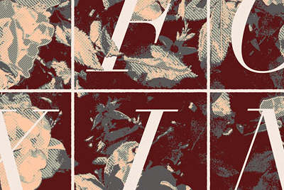 Foxing Tour Poster - Alex Brown Creative