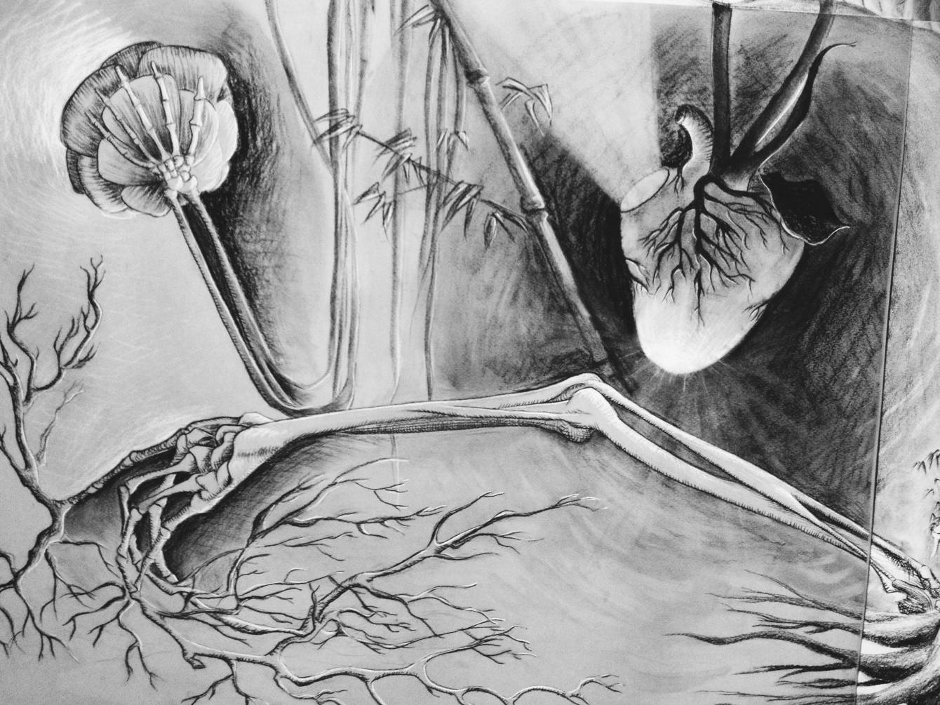 Achromatic - Color & Composition