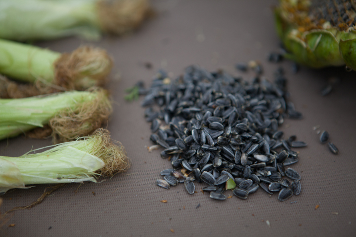 Burnside Farm - Kate Daughdrill