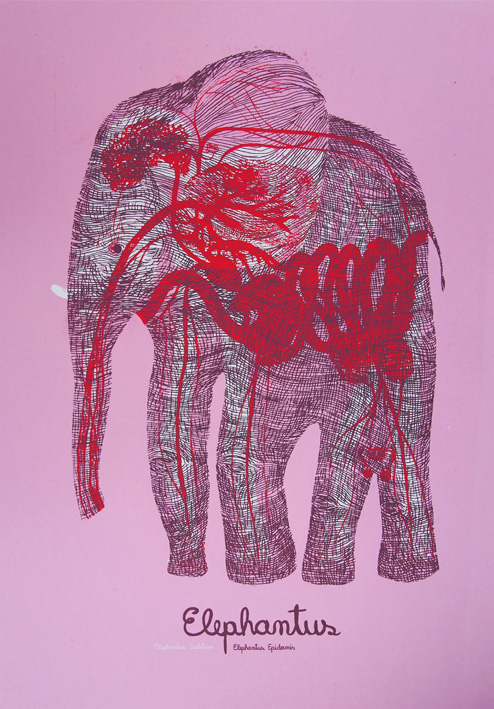 Elephant RX - valeriovidalishop