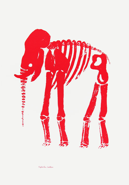 Elephant RX - valeriovidalishop