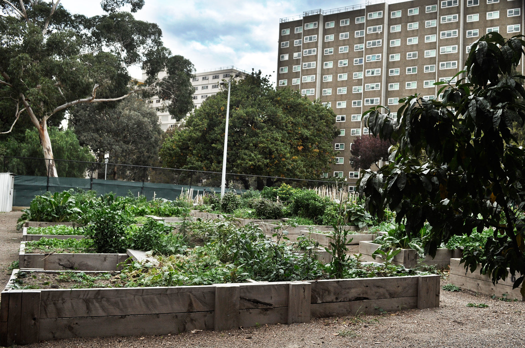 Blog - Kelly.Leviker