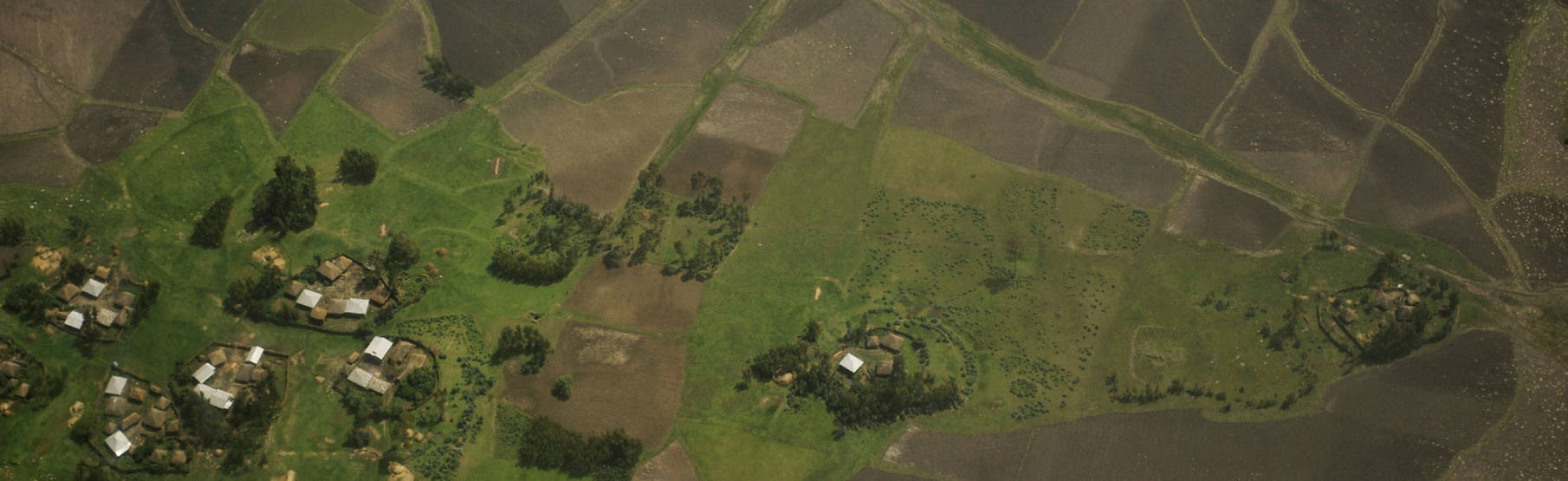 Blog - Kelly.Leviker