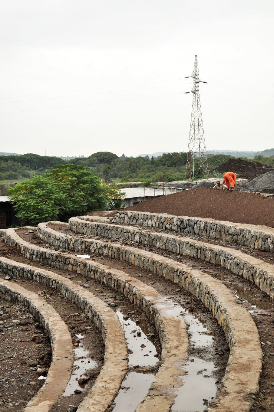 Amhara National Regional State | Abba Architects | Native Plant Nursery ...