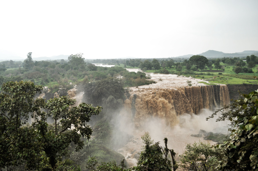 Amhara National Regional State | Abba Architects | Native Plant Nursery ...